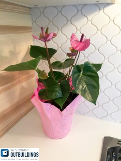 Skookum 24' Tiny House | CSA Z241 - Outbuild